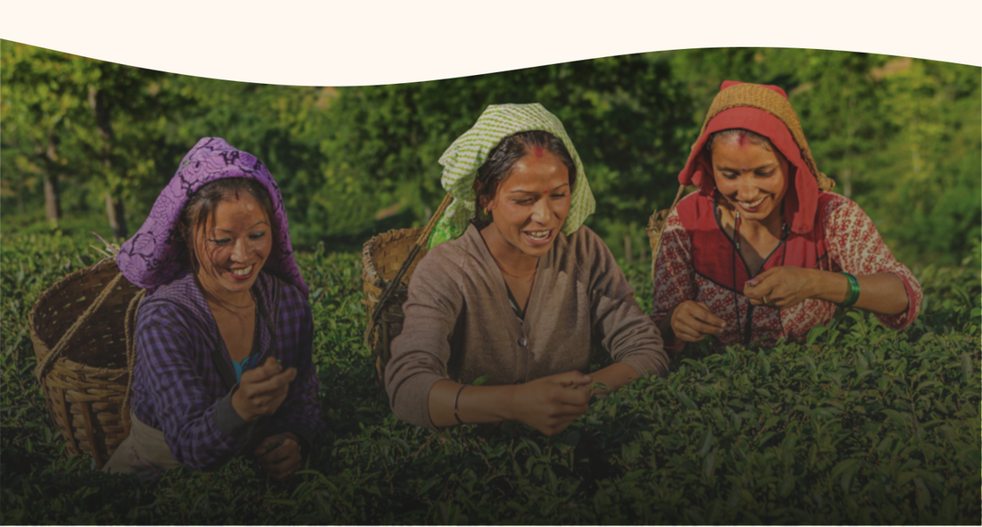 ORIGINAL CHAI | Heirloom Blend – Chai Five